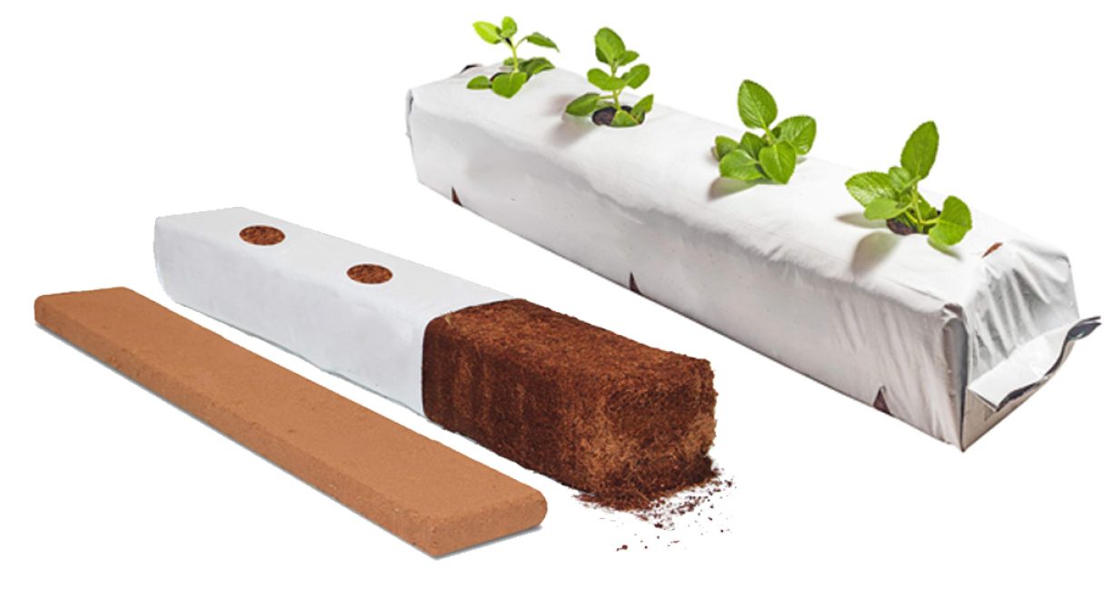 Maple Coco Solutions